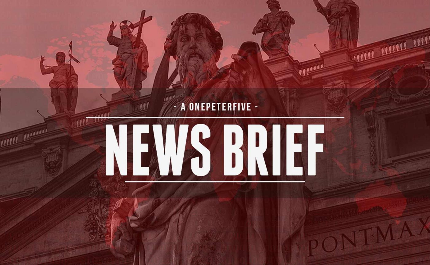 Pope Leo on the SSPX: “It’s Their Choice.” - OnePeterFive